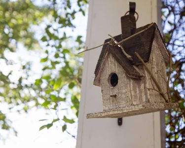 Main House - All 4 One Farms