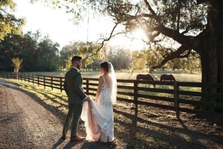 Gallery - All 4 One Farms